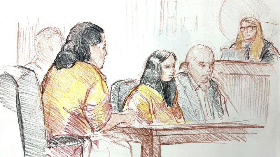 Federal judge dismisses charges against Chicago woman shot after being ...