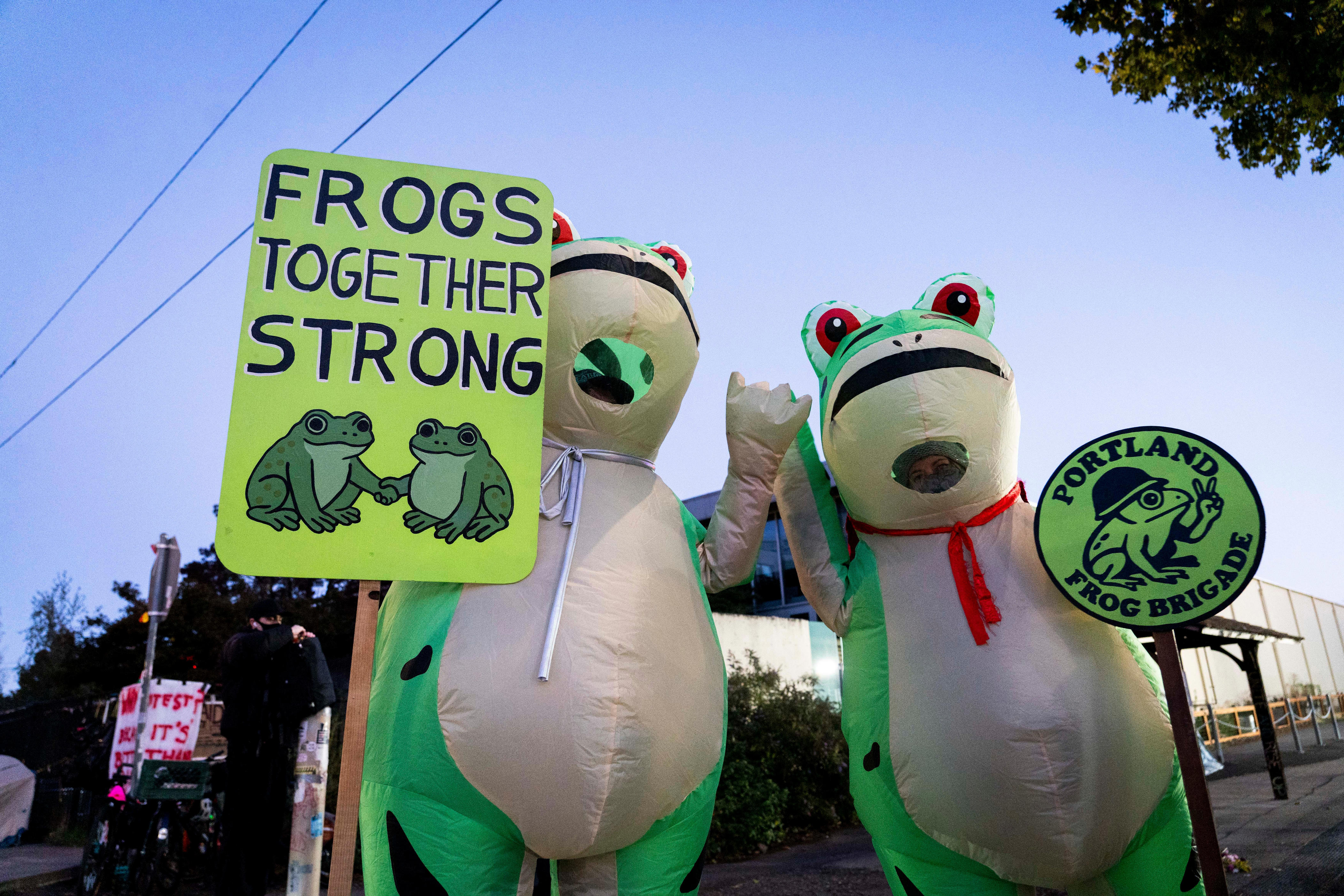 Is it legal to wear a mask to a 'No Kings' protest in Florida? What ...