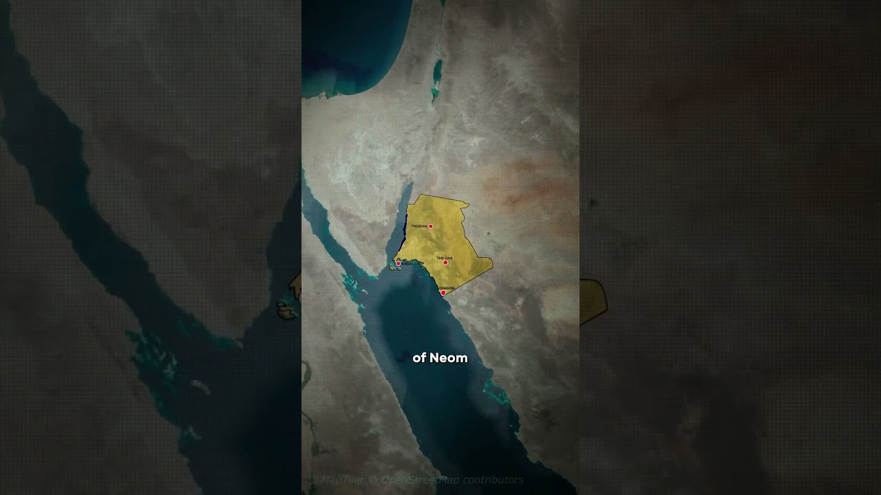 Can't believe The Line is canceled! 🚨