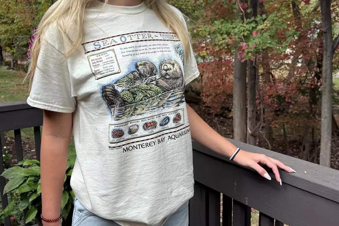 Monterey Bay Aquarium sells thousands of sea otter T-shirts after ...