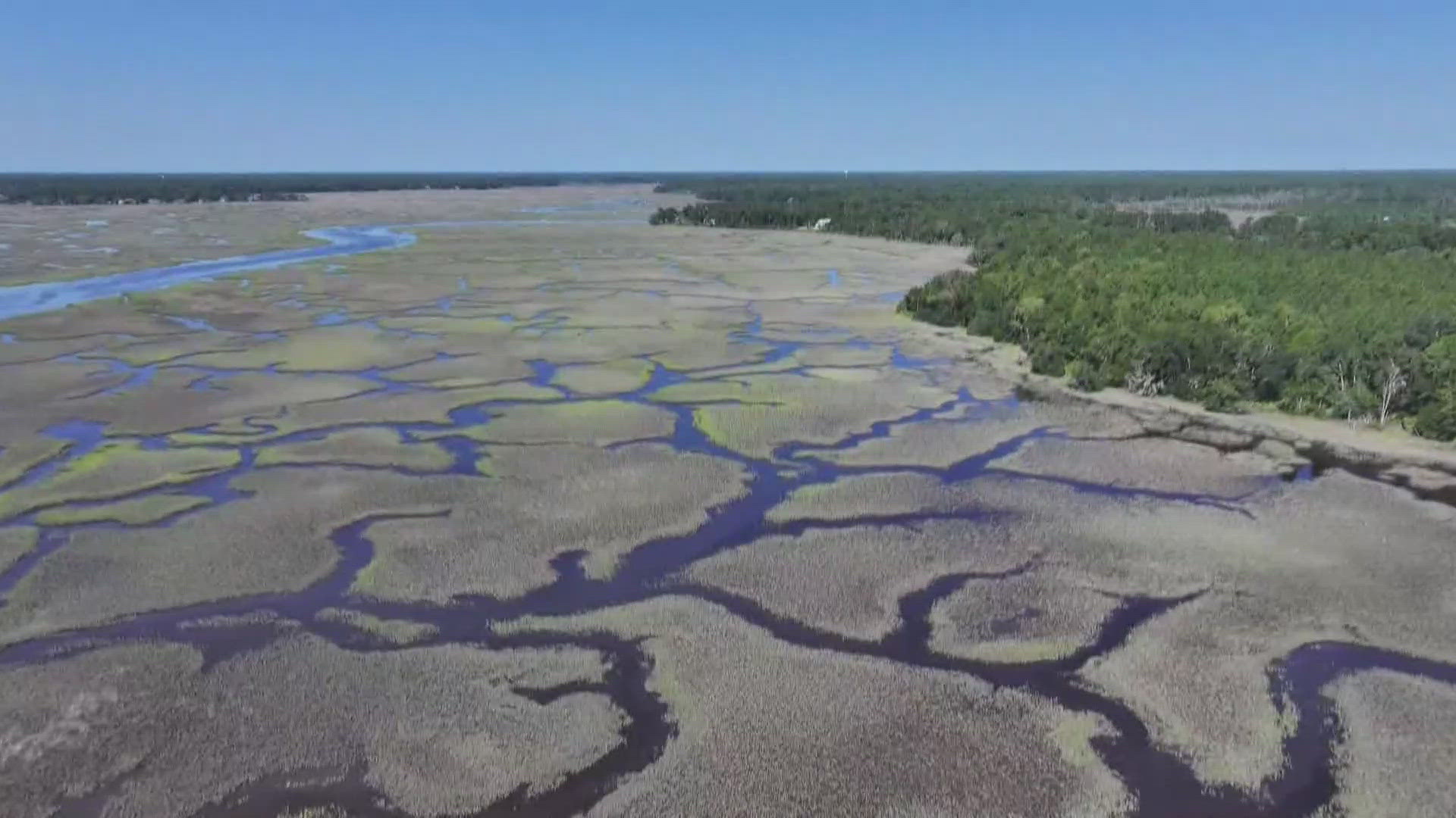 'Why not leave it alone': 750-home project near Camden County marshland ...