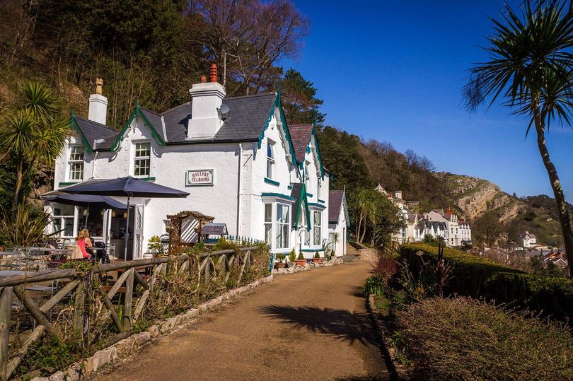 World famous Welsh tearoom to reopen after couple walked through its ...