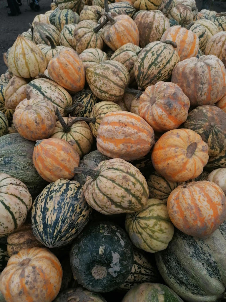 Want to experience Halloween? Visit Tulley's Farms