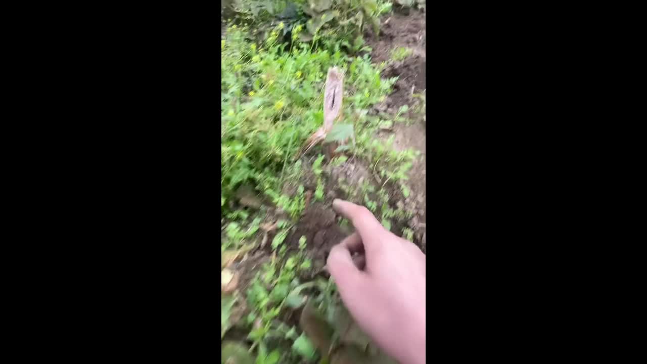 Little garden helper in Liaoning, China