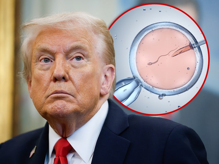 Donald Trump Says He Cut Deal To Make IVF Treatment More Accessible