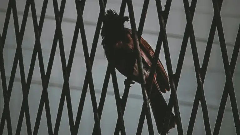 Diddy Prison and Parole Details Emerge (And Freak-Offs Are Probably Off ...