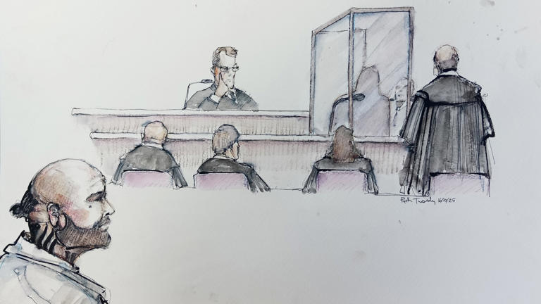 David Pye on bail after being refused anxiety drugs in custody, Nick ...