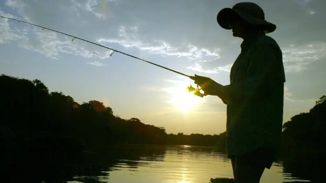 Investigation after hundreds of dead fish found in river