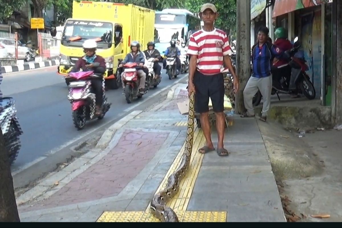 Cara Mbah Subadri Usir Pemotor Jajah Trotoar di Kramat Jati, Pagi Sore ...
