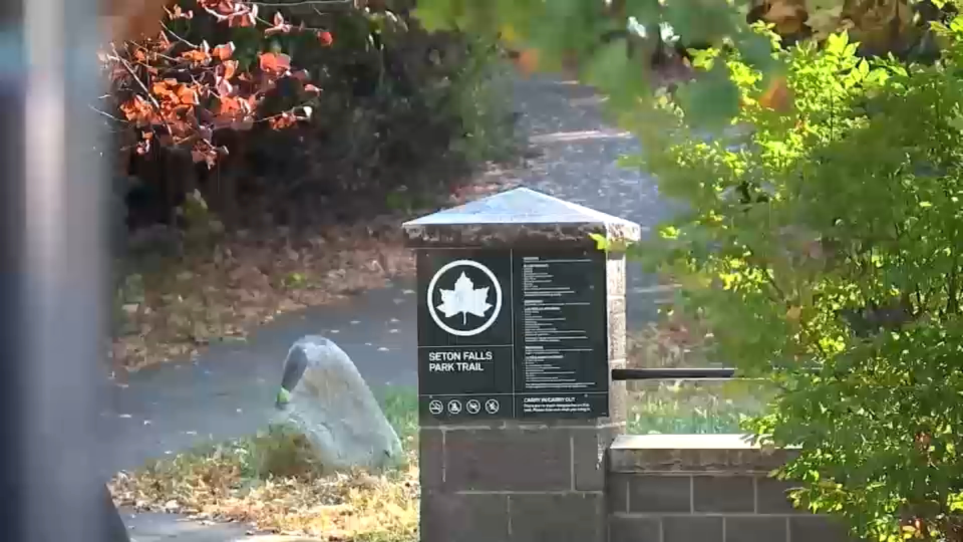 Police arrest suspect after sexual harassment of 14-year-old girl on ...