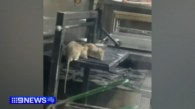 Disgusting sight caught on camera at Adelaide pub