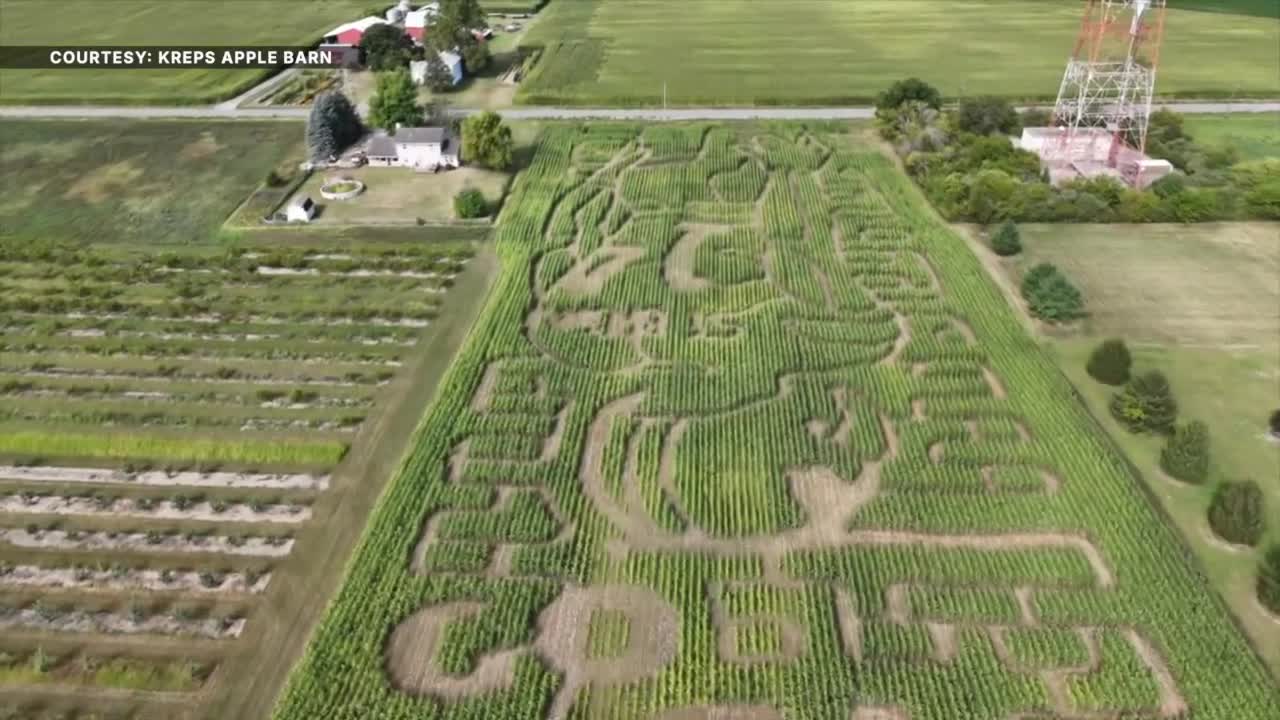 Going inside the Amon-Ra St. Brown corn maze at Krep's Apple Barn and ...