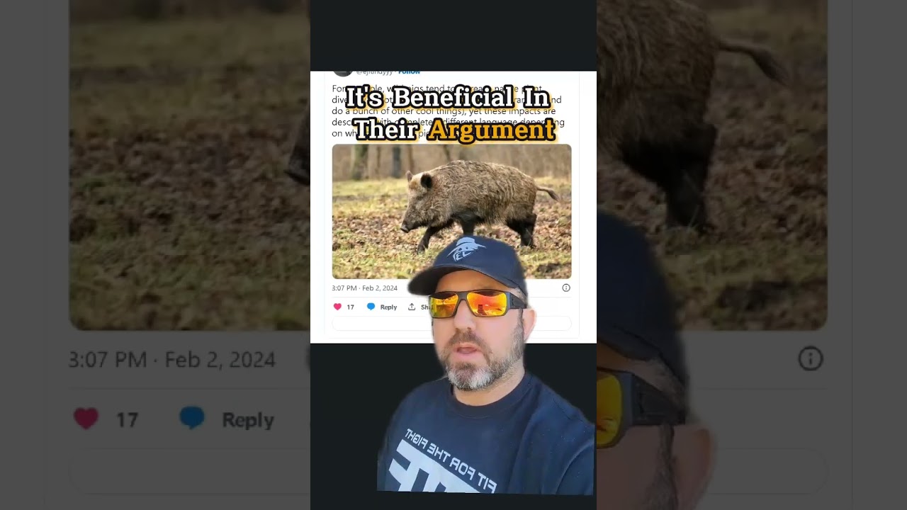 Feral Pigs and the Environment