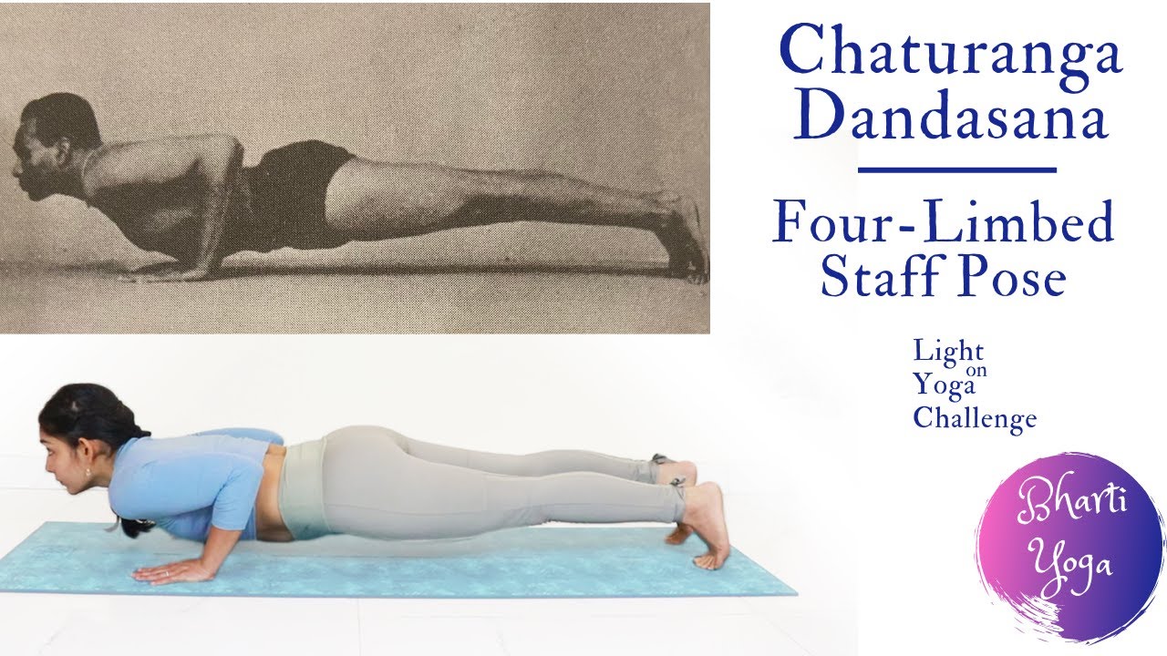 How To Do Chaturanga Dandasana | Four Limbed Staff Pose | Light On Yoga ...