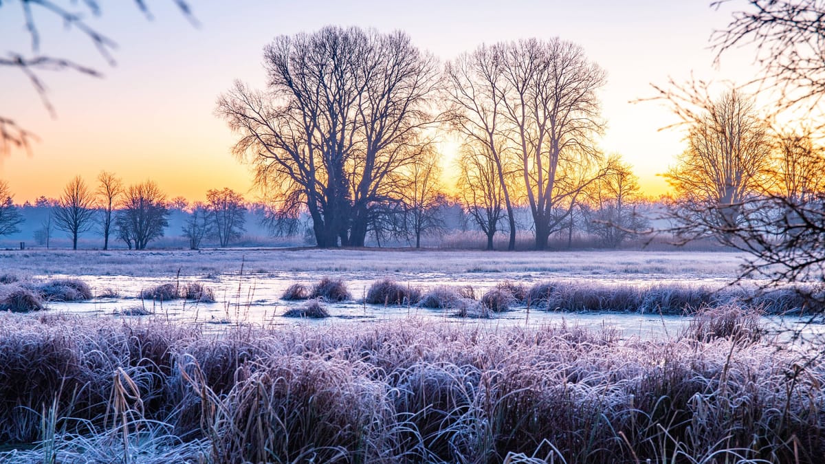Bis Minus 2,7 Grad: Hier wird es am Wochenende klirrend kalt