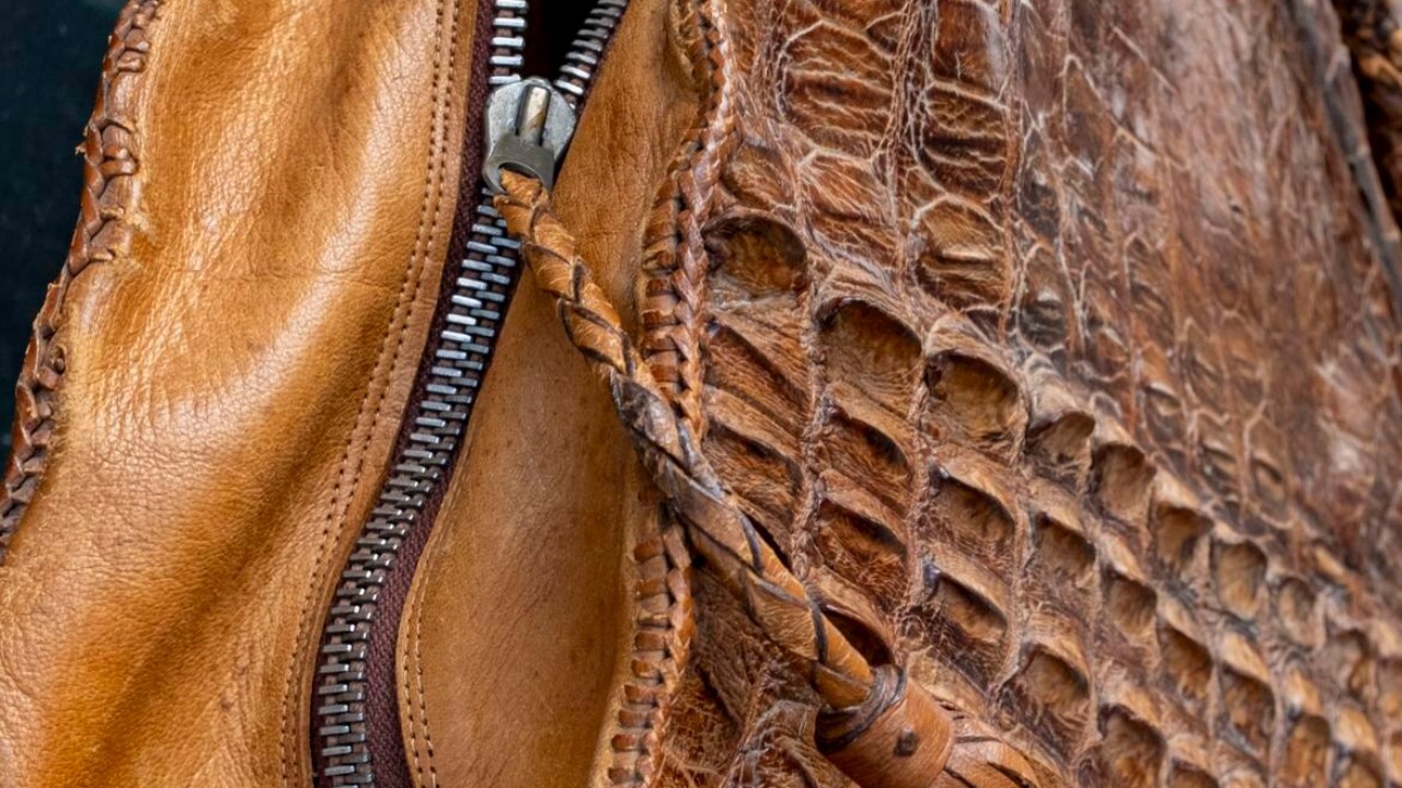 From fossils to fashion — T. rex leather bags are launching soon