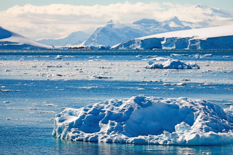 Mysterious skull found on Antarctic beach could rewrite history of ...