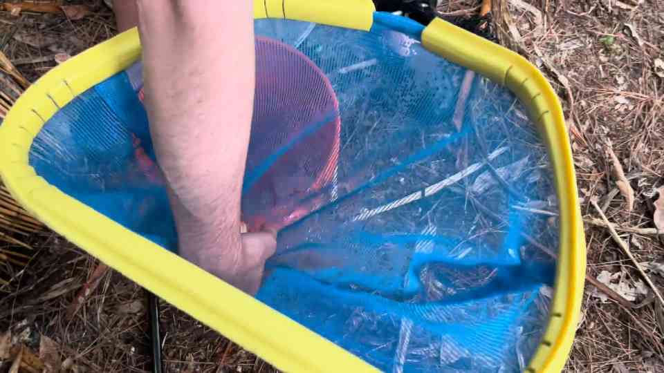 All my fish almost died