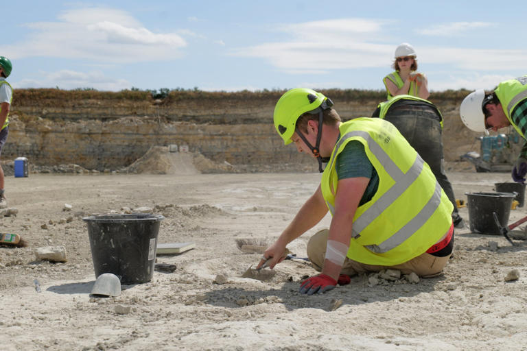 166-million-year-old dinosaur tracks found in UK