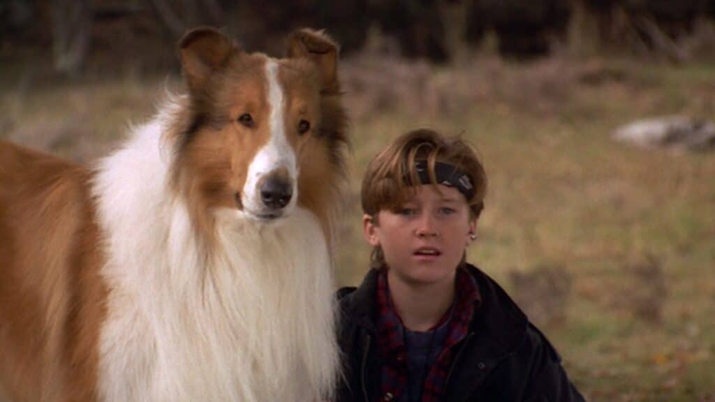 23 Animal Movies That Made Us Ugly-Cry