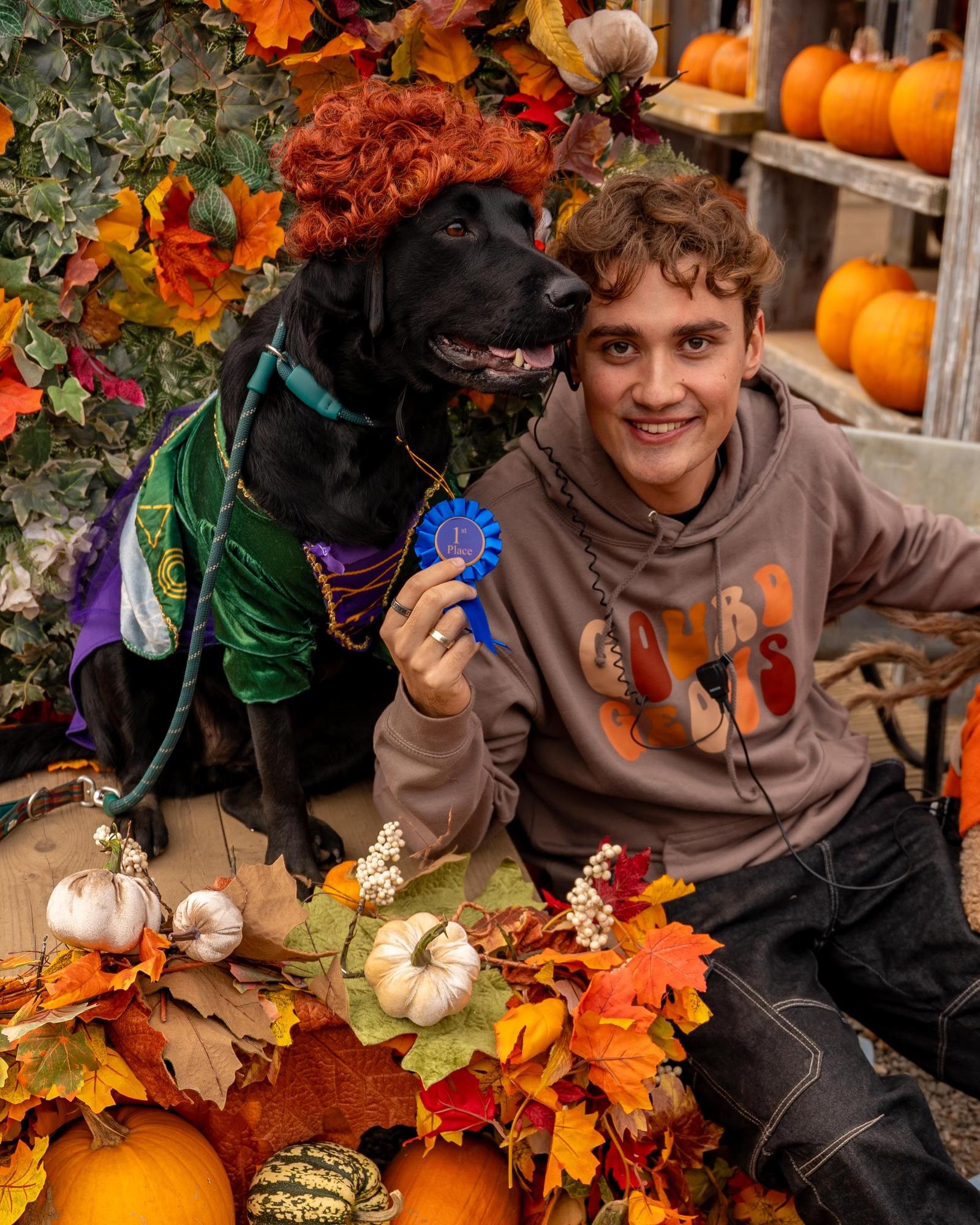 Paw-fect day out as dogs take over Tulleys Farm