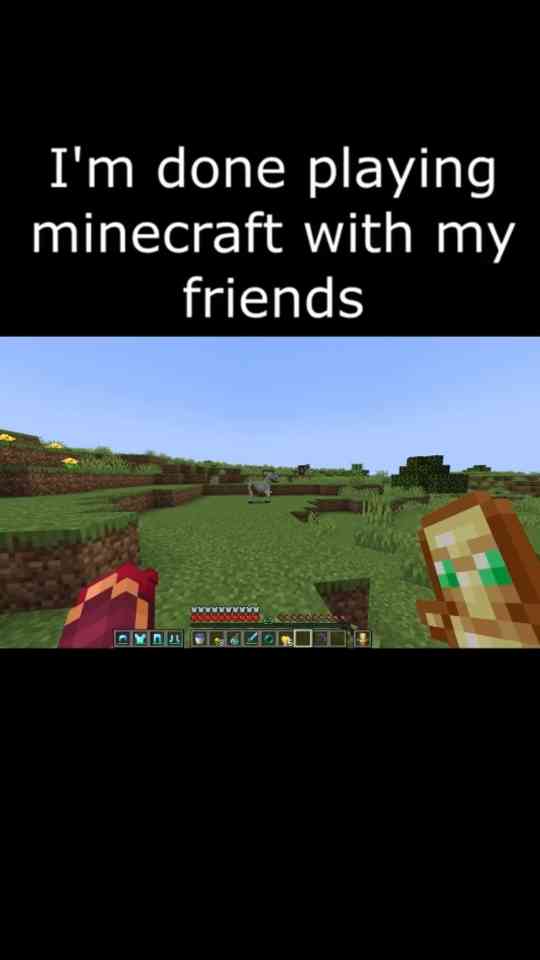 Minecraft Meme