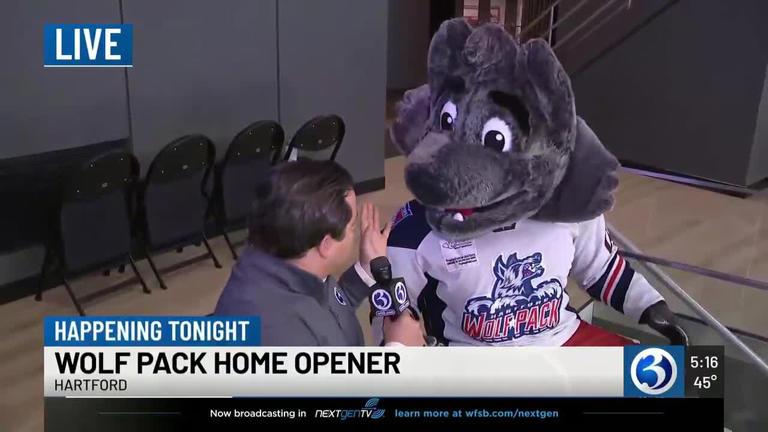 Hartford Wolf Pack open season at newly renovated PeoplesBank Arena
