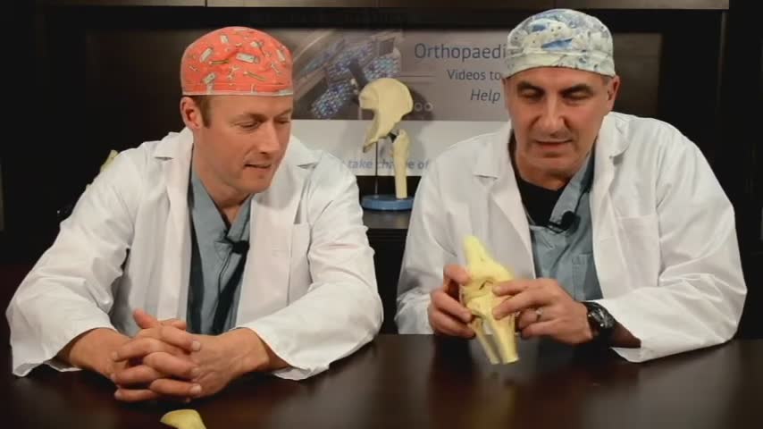 Understanding knee anatomy and structure