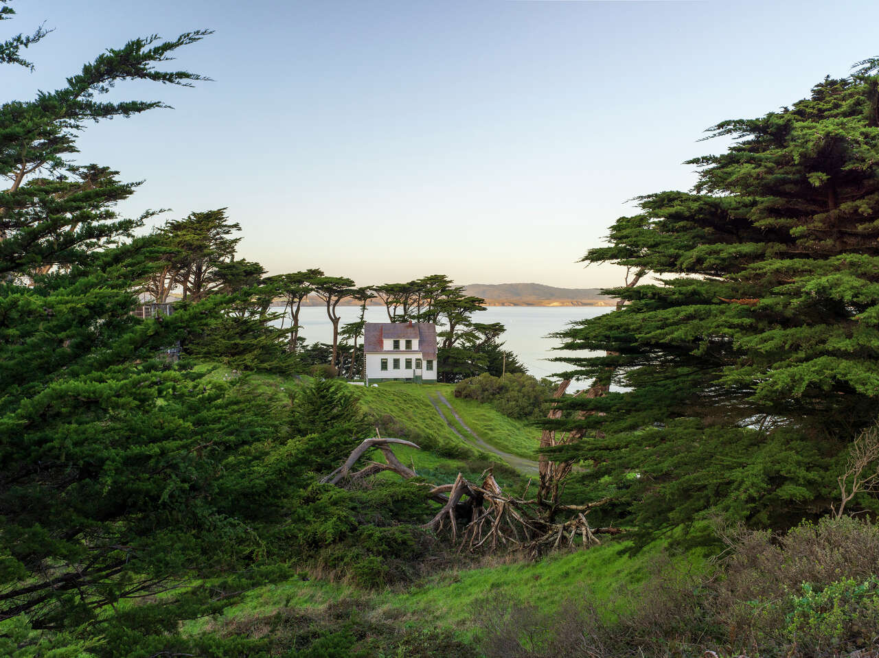 'We can't release this': The making of a cursed Bay Area movie
