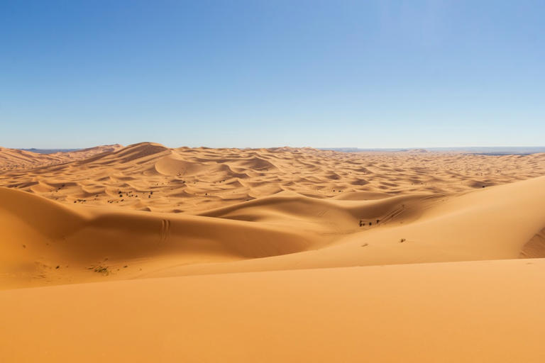 How Sand Dunes Walk Across The Desert - Scientists Explain