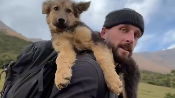 “Il miglior compagno di viaggio”: un escursionista trova un cucciolo in ...