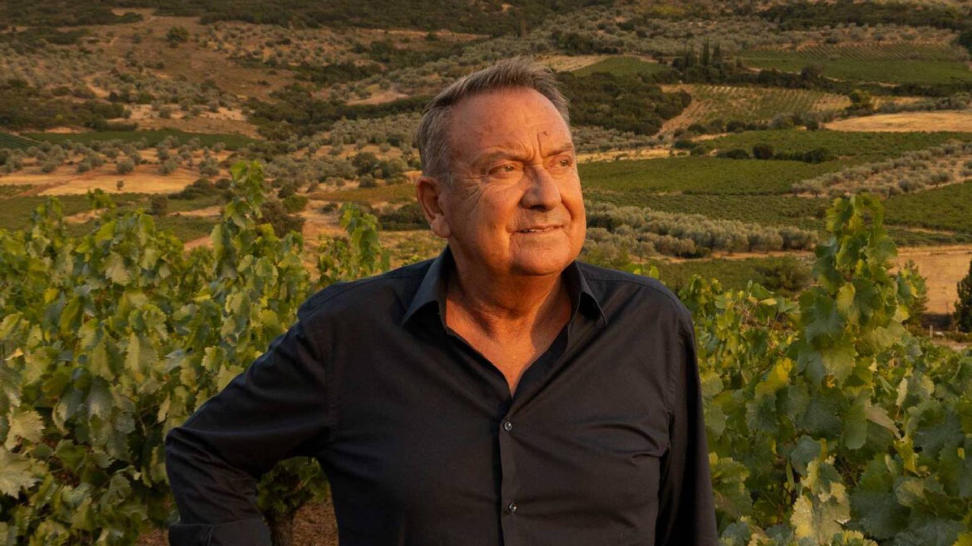 Βραβείο παραγωγής οίνου, στο Κτήμα Σκούρα