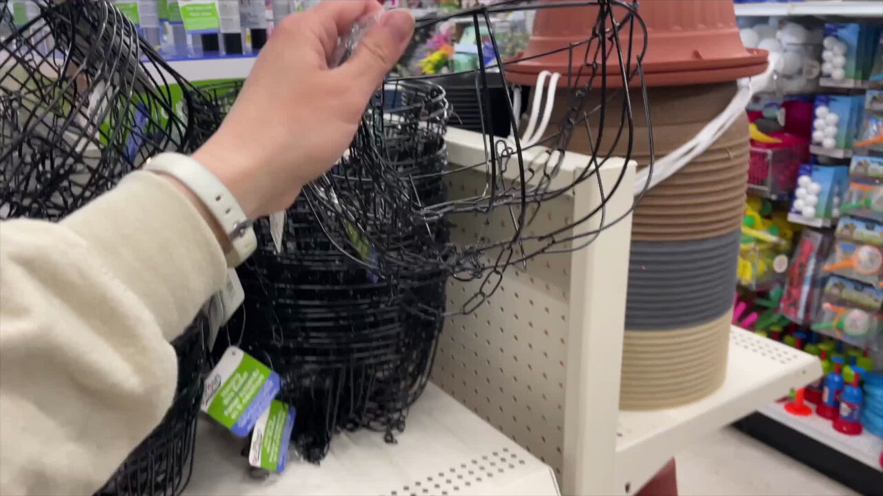 Live Flower Hanging Ball