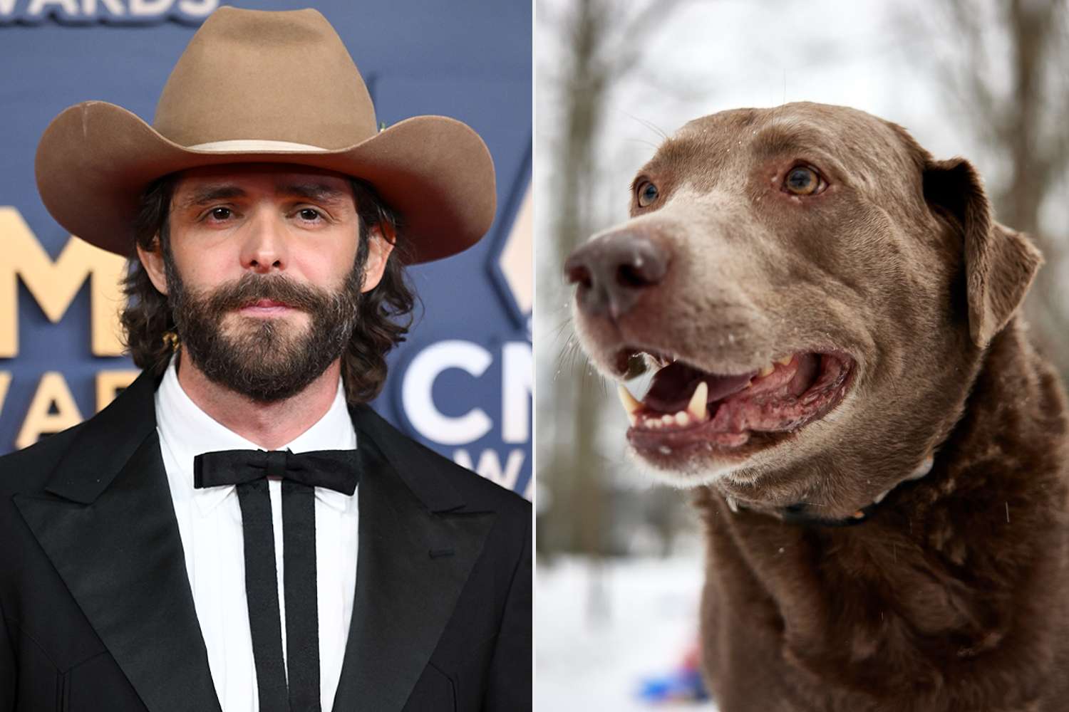 Thomas Rhett Says His Dog Cash 'Went to Go Be With Jesus' In Touching ...