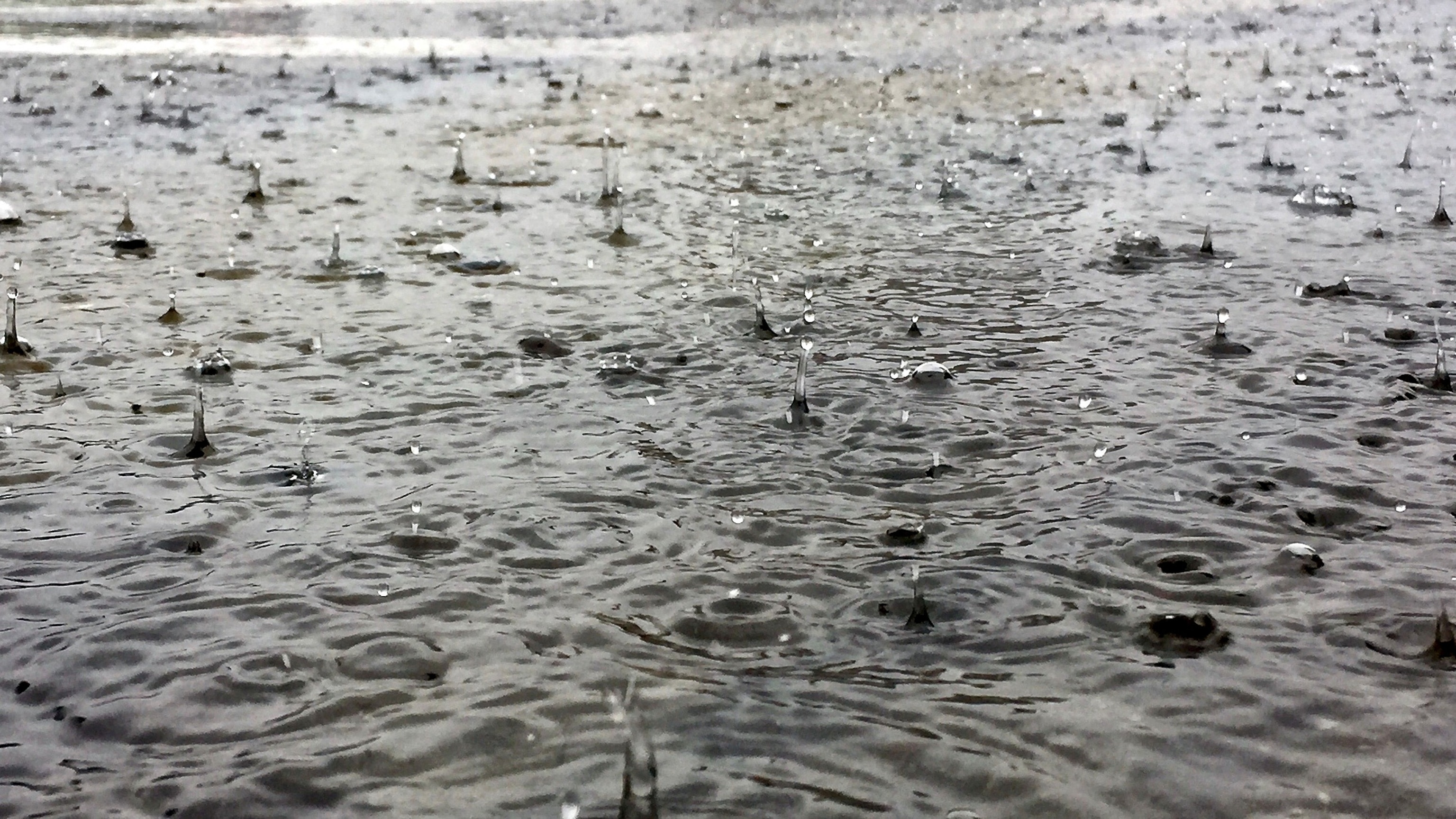 17 million under flood watch from Texas to Mississippi