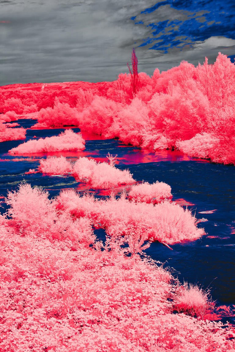 Why Some Lakes Turn Pink - Scientists Reveal The Secret