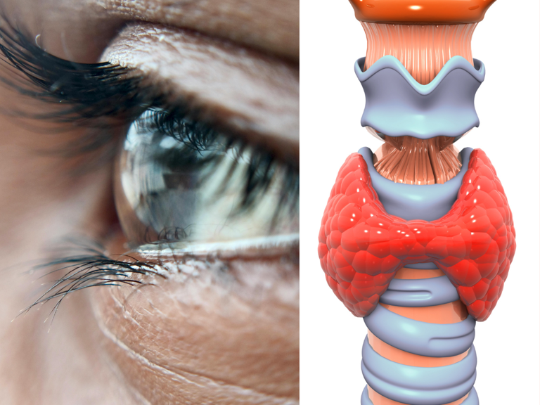 What your eyelashes reveal about your health: Signs you should never ignore