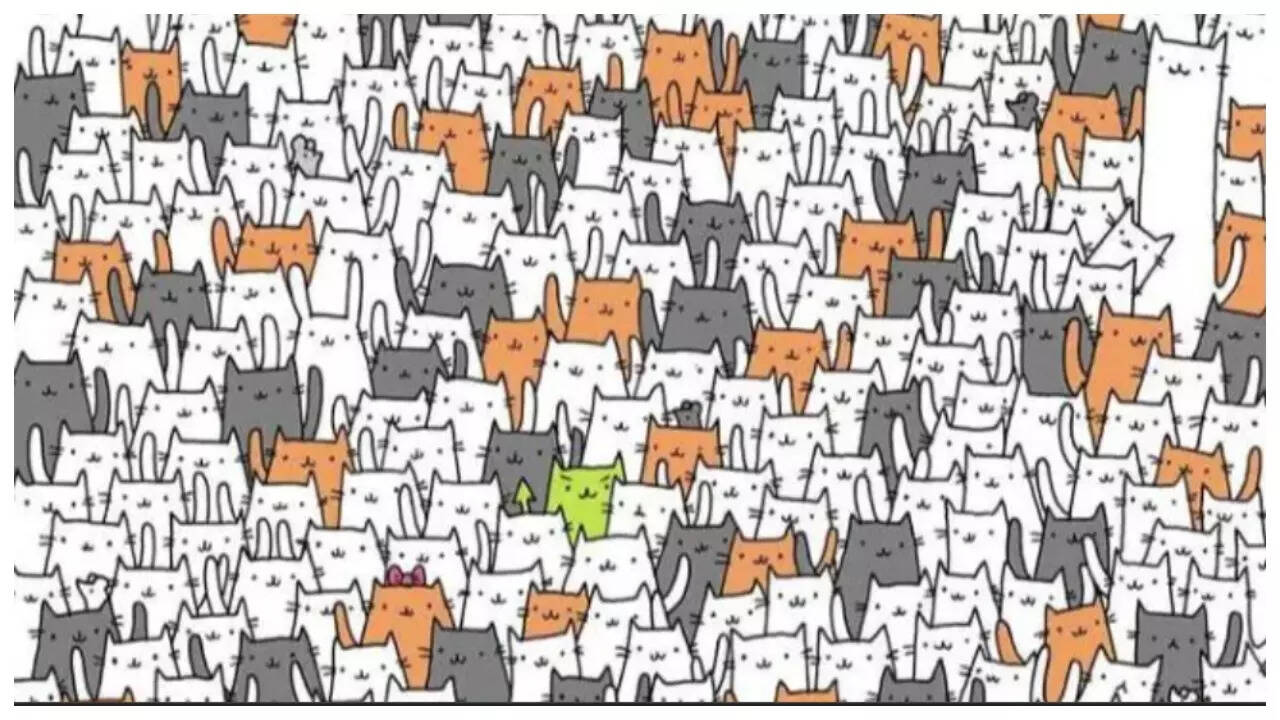 Optical illusion: Can you spot a sneaky bunny hiding amidst the cats?