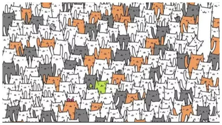Optical illusion: Can you spot a sneaky bunny hiding amidst the cats?