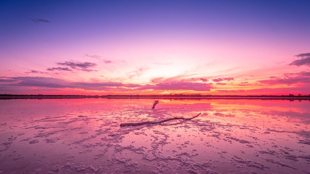 Why Some Lakes Turn Pink - Scientists Reveal The Secret