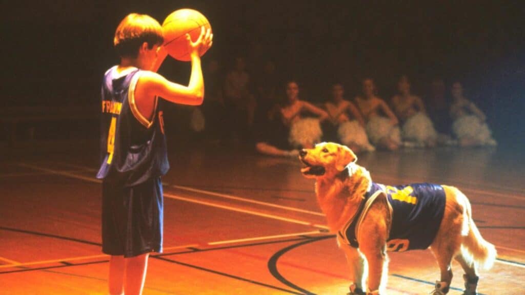 23 Animal Movies That Made Us Ugly-Cry