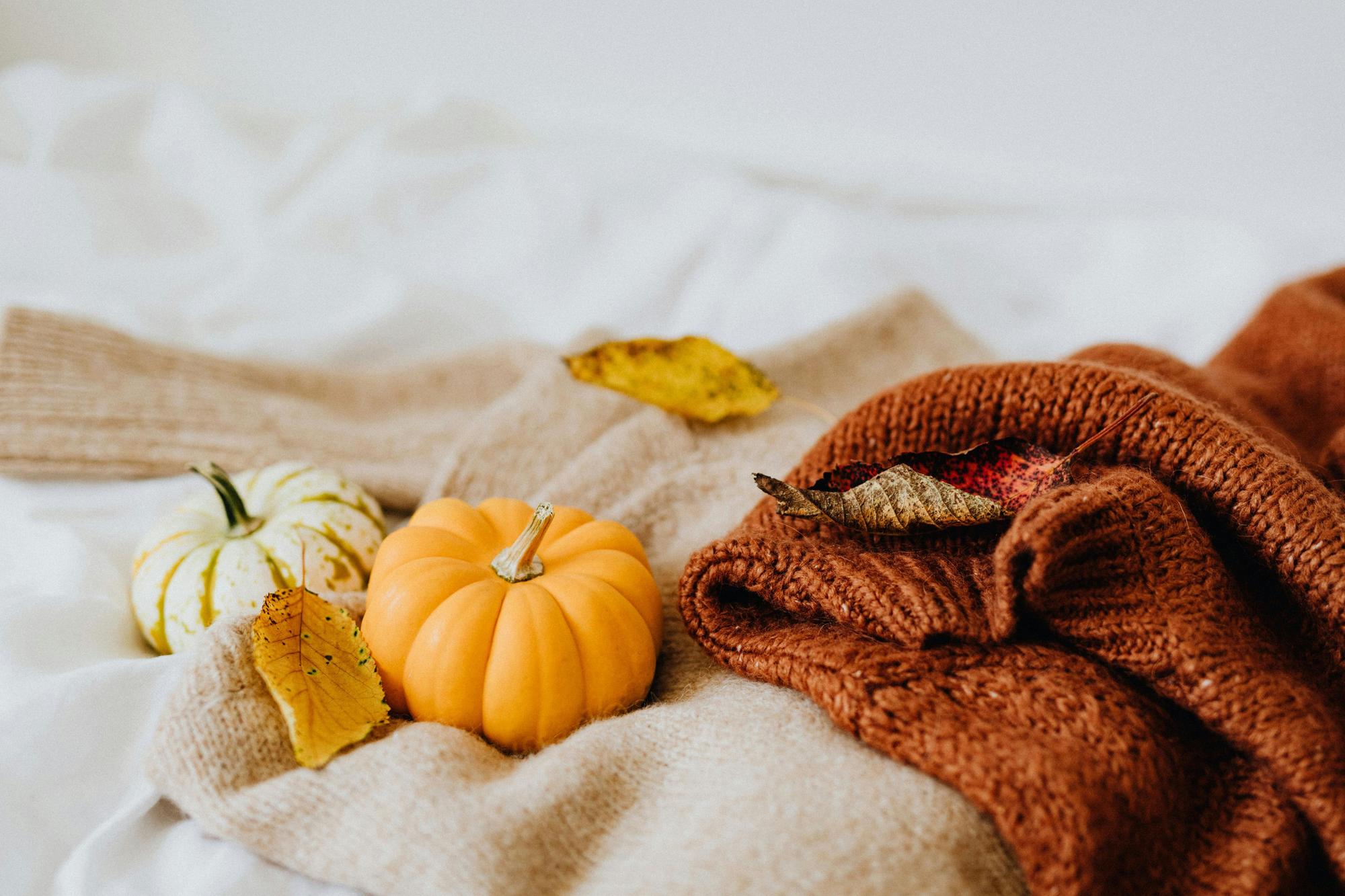 Celebrate autumn and spooky season at Cherry Lane Garden Centres