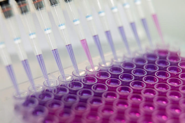 FDA Picks Nine Drugs for Fast-Track Reviews in New Program