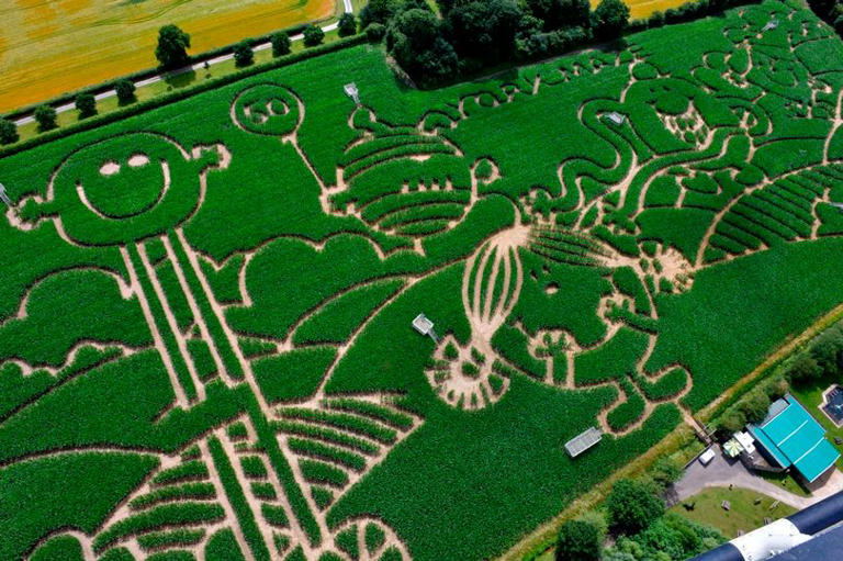 Eddie Howe checked on Joe Willock after claims star was 'lost in York ...