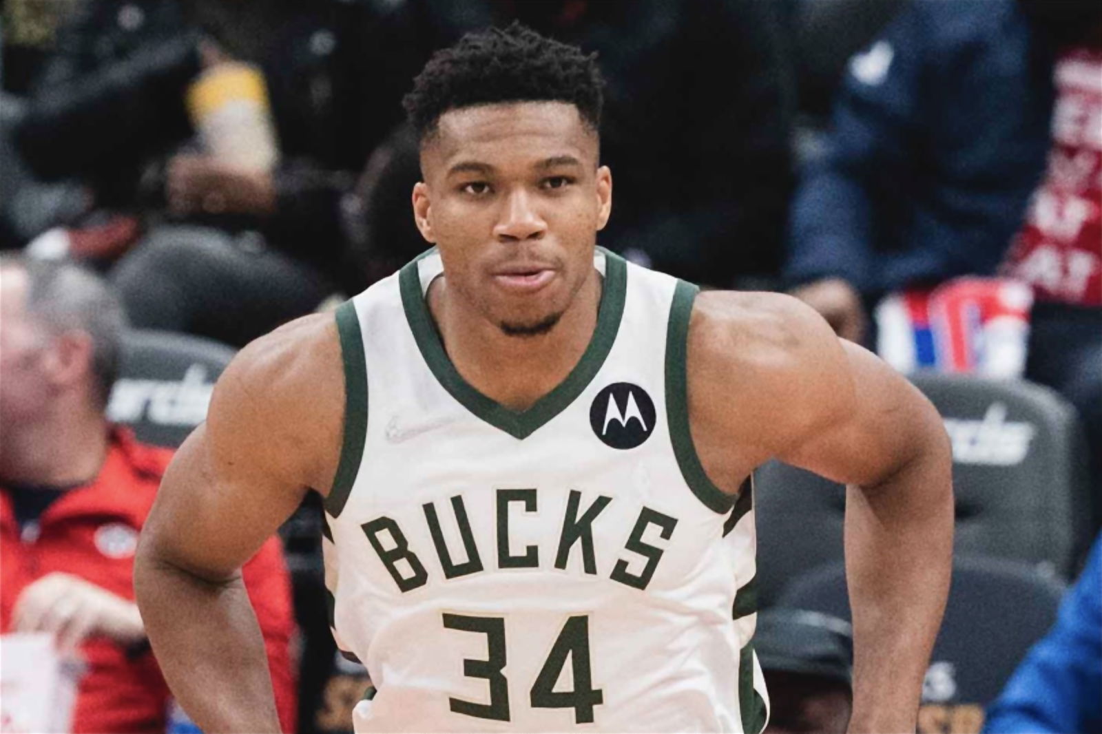 Giannis Antetokounmpo's company, Ante, purchased Chicago residential ...