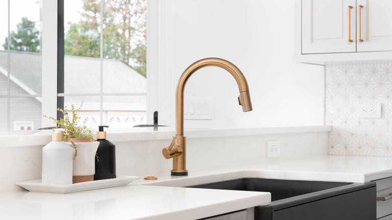 Expert shares 'the kitchen sink rule' you must do to prevent ants