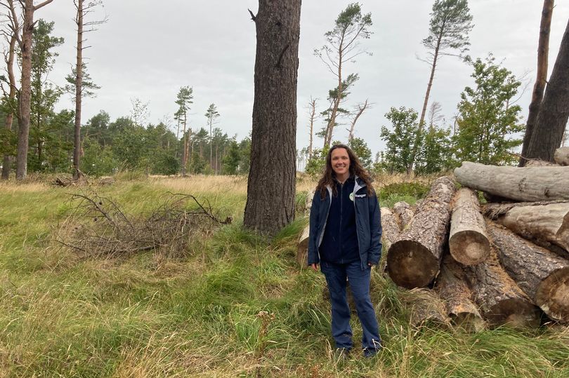 Work to restore East Lothian country park devastated by Storm Arwen set ...