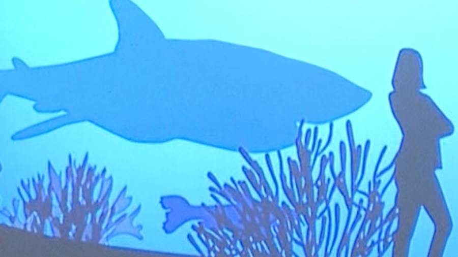 Four companies brace for YBI’s Shark Tank