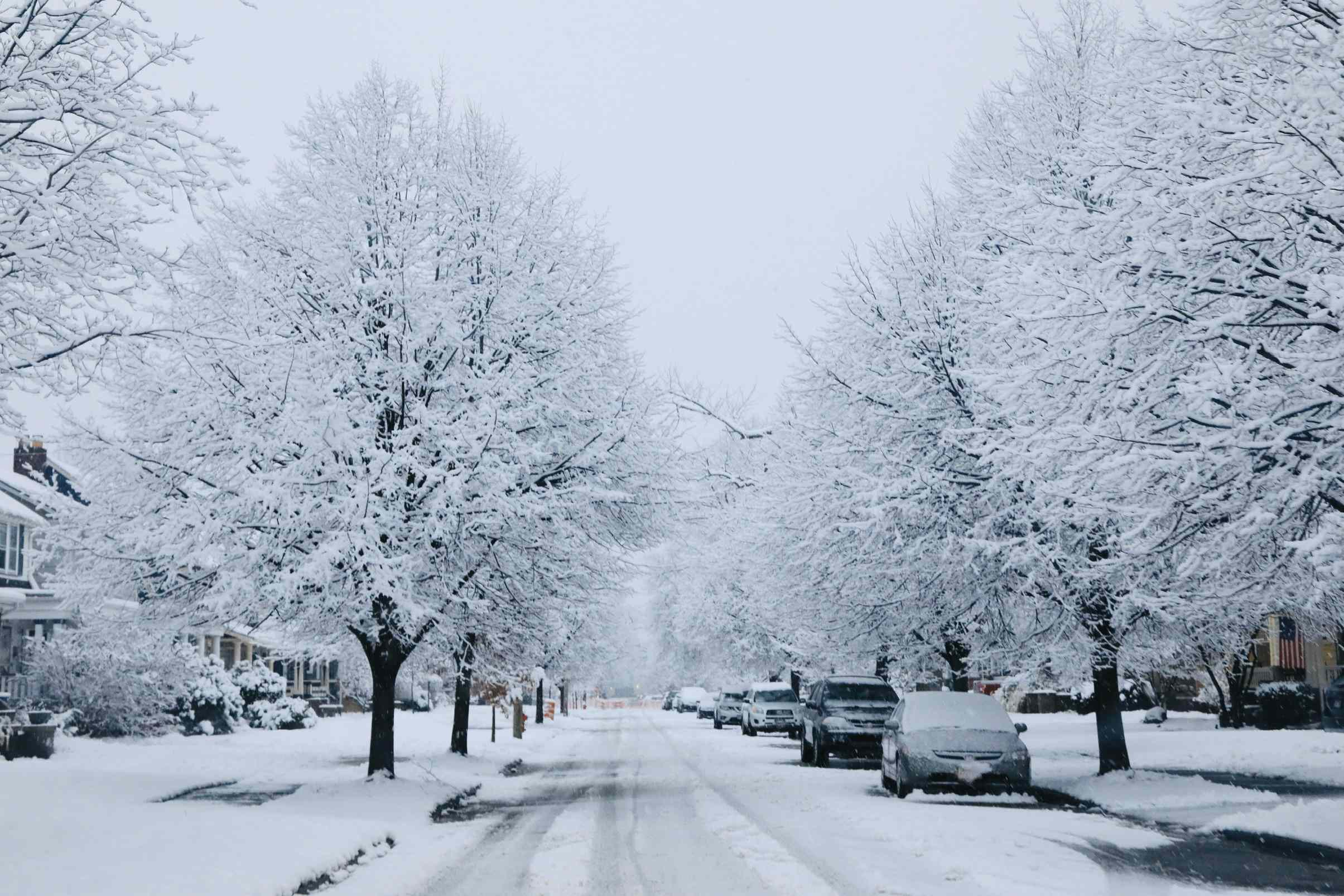 Will It Be a Frigid, Snowy Winter? Here's What Weather Forecasters Are ...