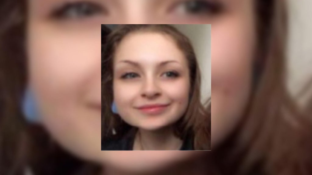 Carver County officials searching for missing 24-year-old believed to ...